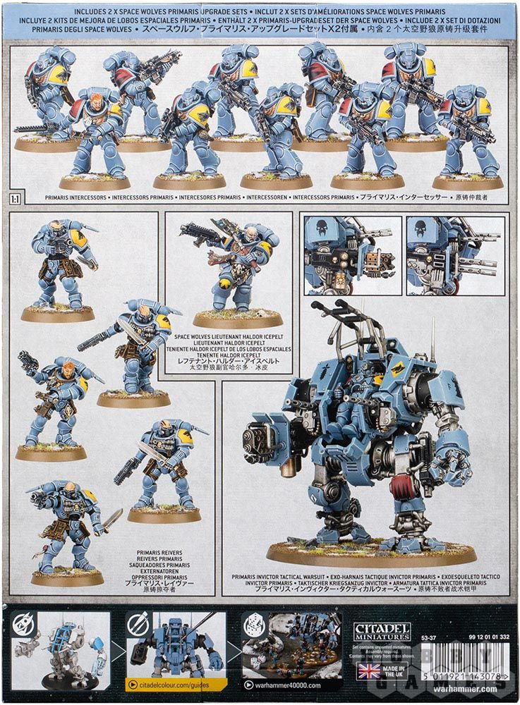 Combat Patrol: Space Wolves